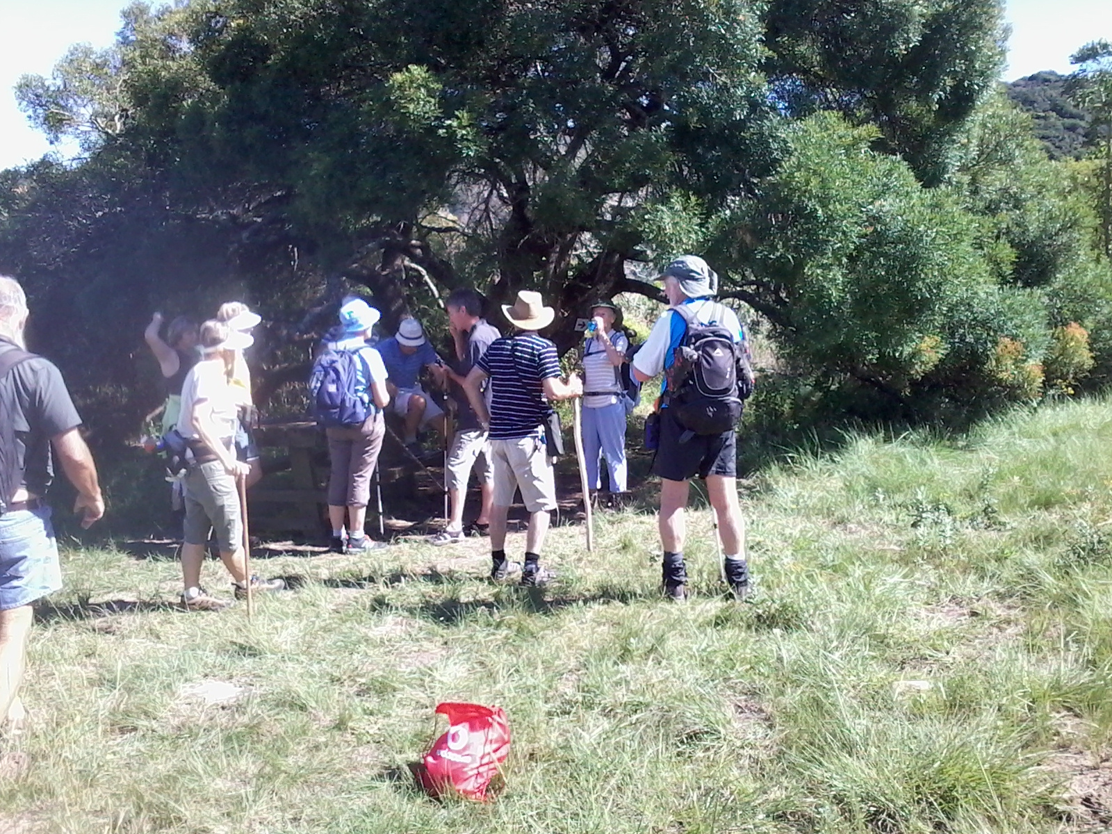 PETER GIDDY.: GROENDAL RESERVE AND BLINDEKLOOF HIKING TRAIL