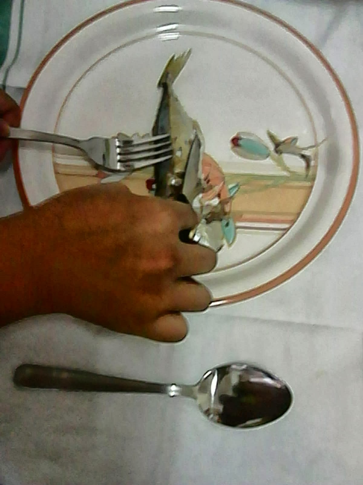 FILLET FISH SERVICE | FOOD AND BEVERAGES