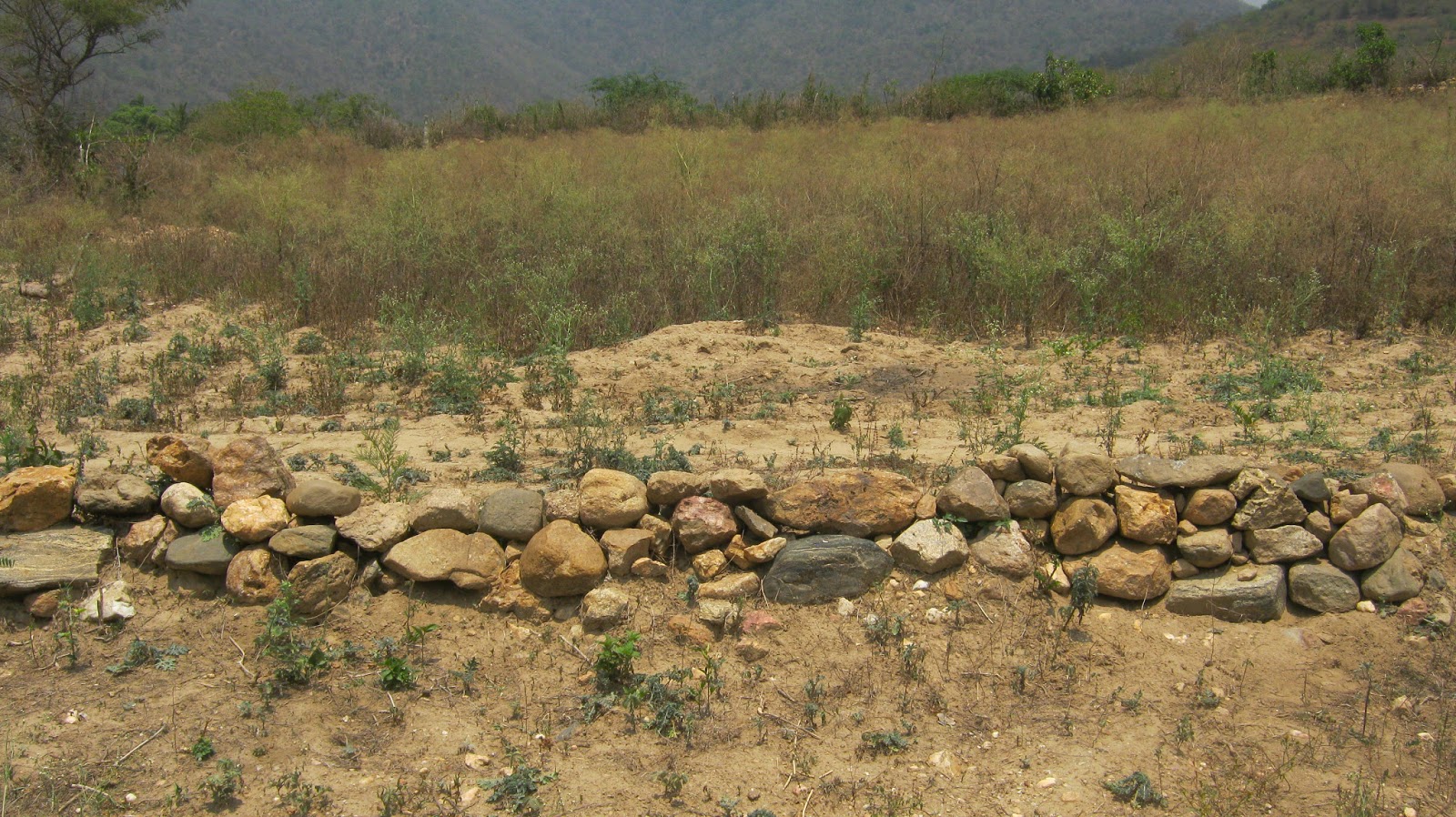 NMCT-NABARD: bolder bunds and soil bunds