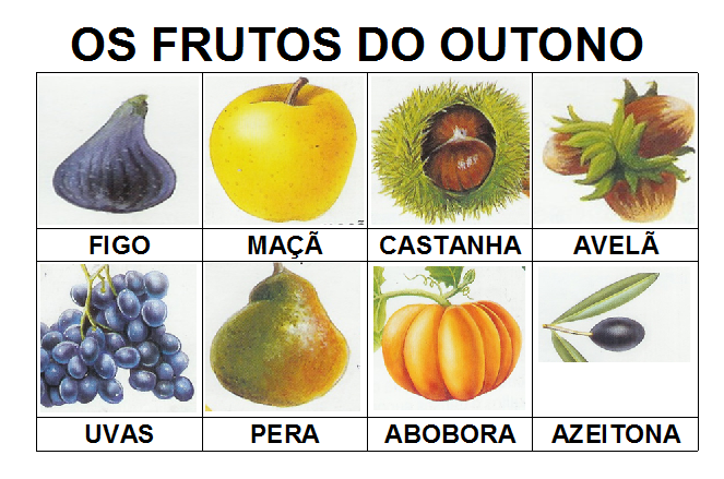 PORTU ESCOLA: Os frutos do outono