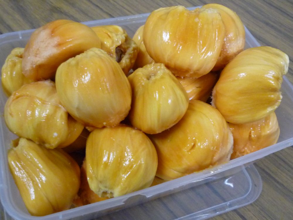 foodbin: Chempedak (artocarpus integer).