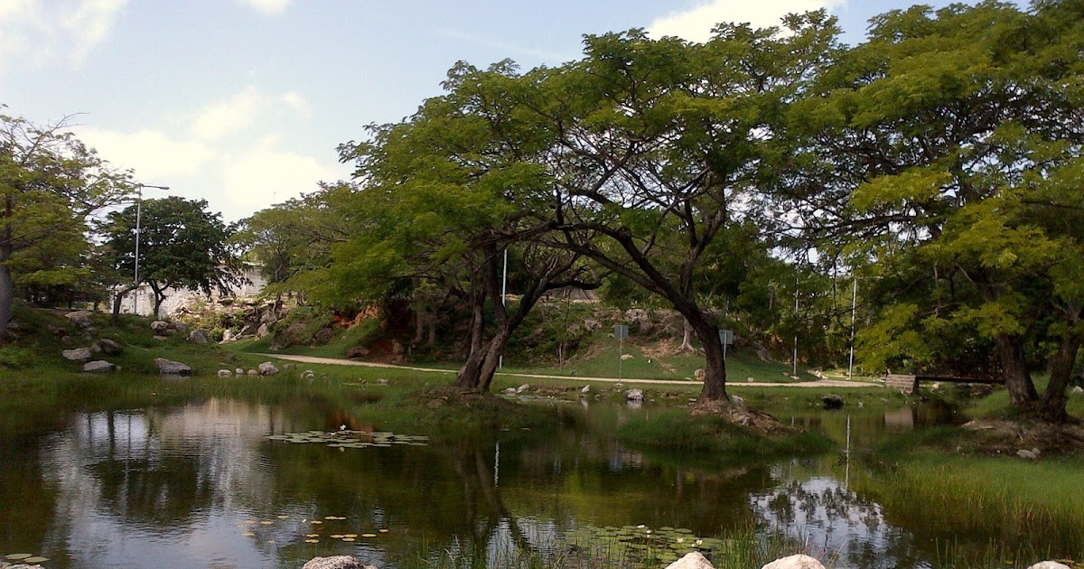 Los principales parques Mérida Yucatán.