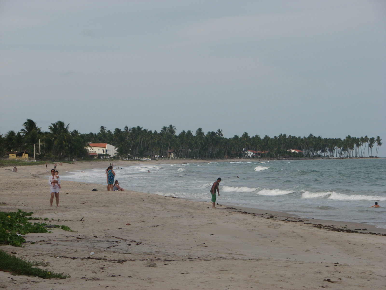 VIAGEM PELO NORDESTE DO BRASIL: 6 - De Recife a Praia da Pipa