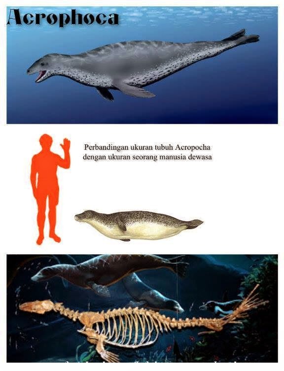 Hewan Ini Sudah Ada Sejak Zaman Purba