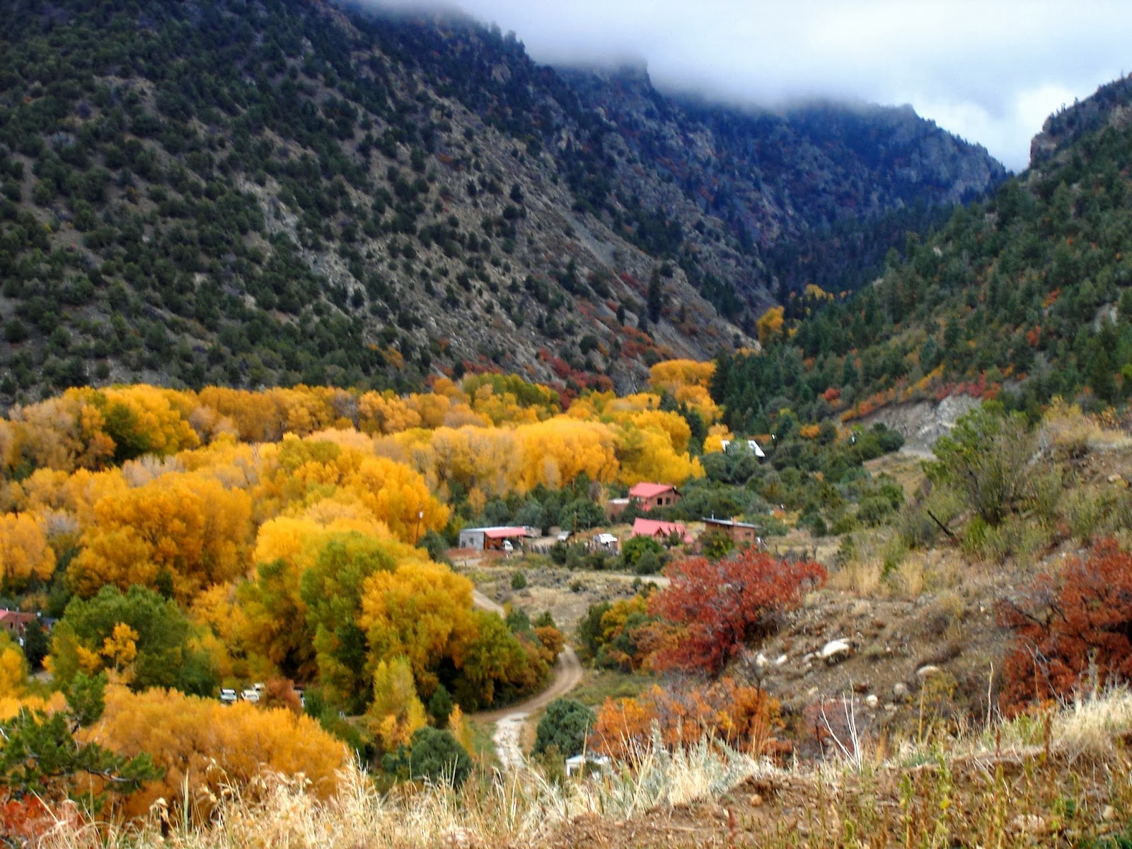 dee sanchez PAINTS! : Taos Colors