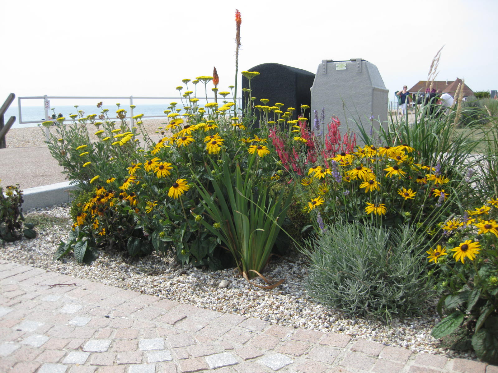 HTA Landscape Design: Next Wave Planting Lists Published - come on you ...