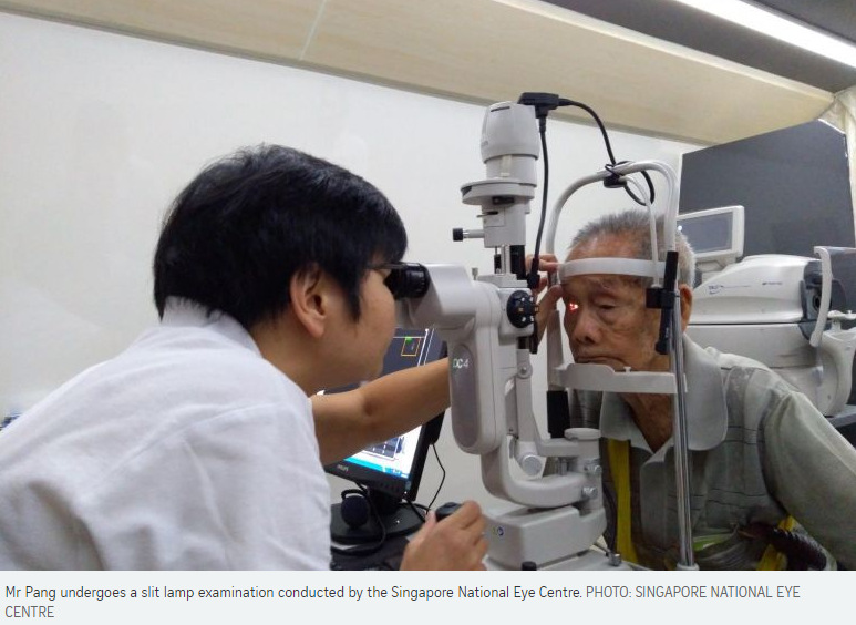 If Only Singaporeans Stopped to Think: Project Silver Screen: New ...