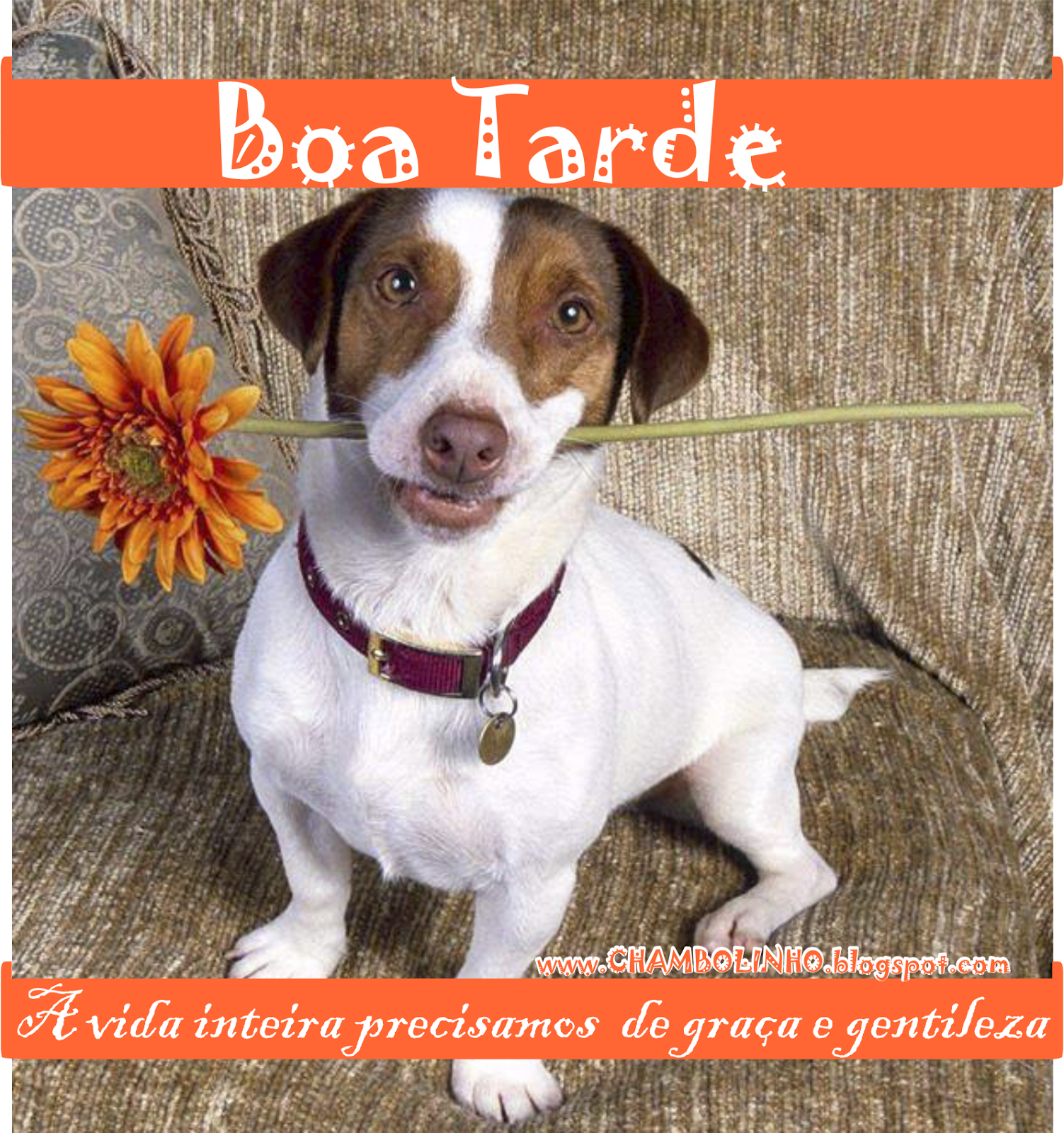 Recadinho Boa Tarde com Frase