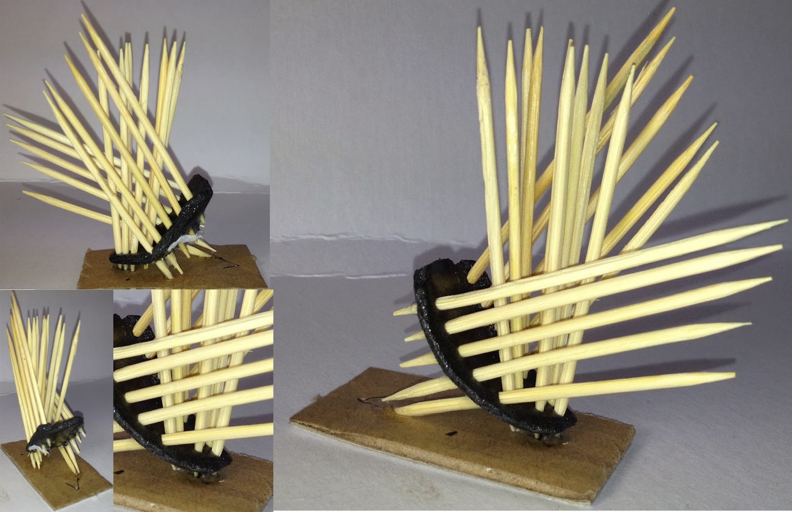 Study Models: Study Models