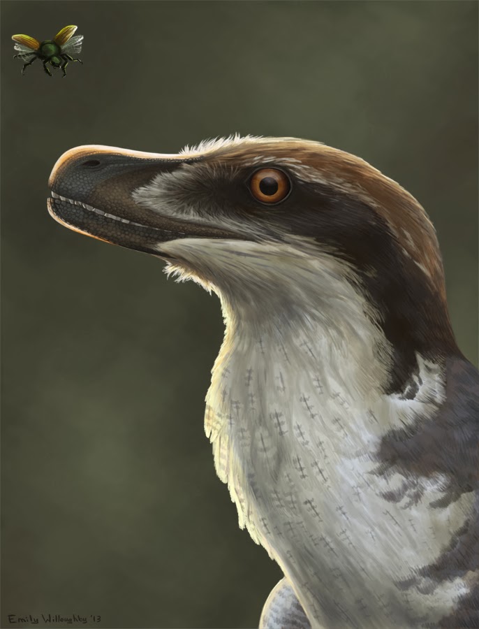 Species New to Science: [Paleontology • 2013] Acheroraptor temertyorum ...