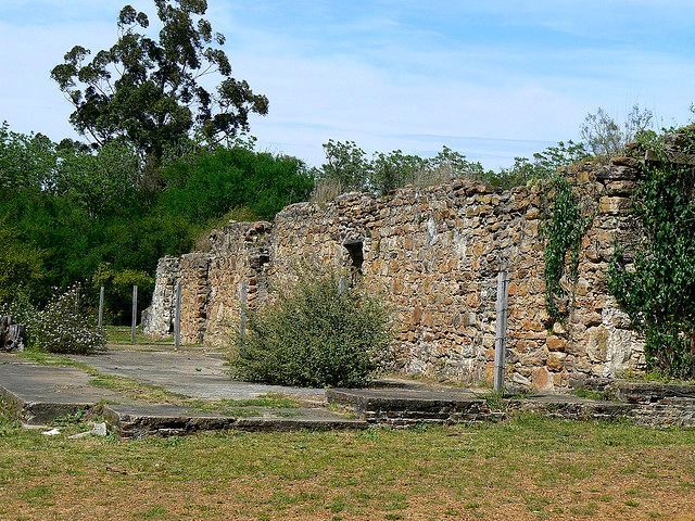 CONOZCAMOS LA ARGENTINA: PARQUE NACIONAL EL PALMAR, ENTRE RÍOS Es uno ...