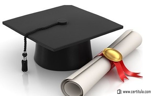 Elementos que contiene el nuevo formato del Título Profesional ...