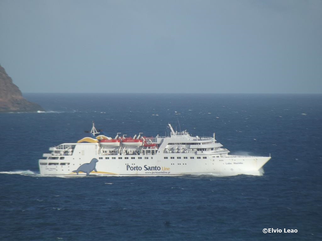 O Mar do Porto Santo: Lobo Marinho rumando ao Funchal
