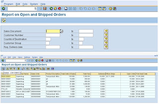 SAP Helps: Report on Open and Shipped Orders