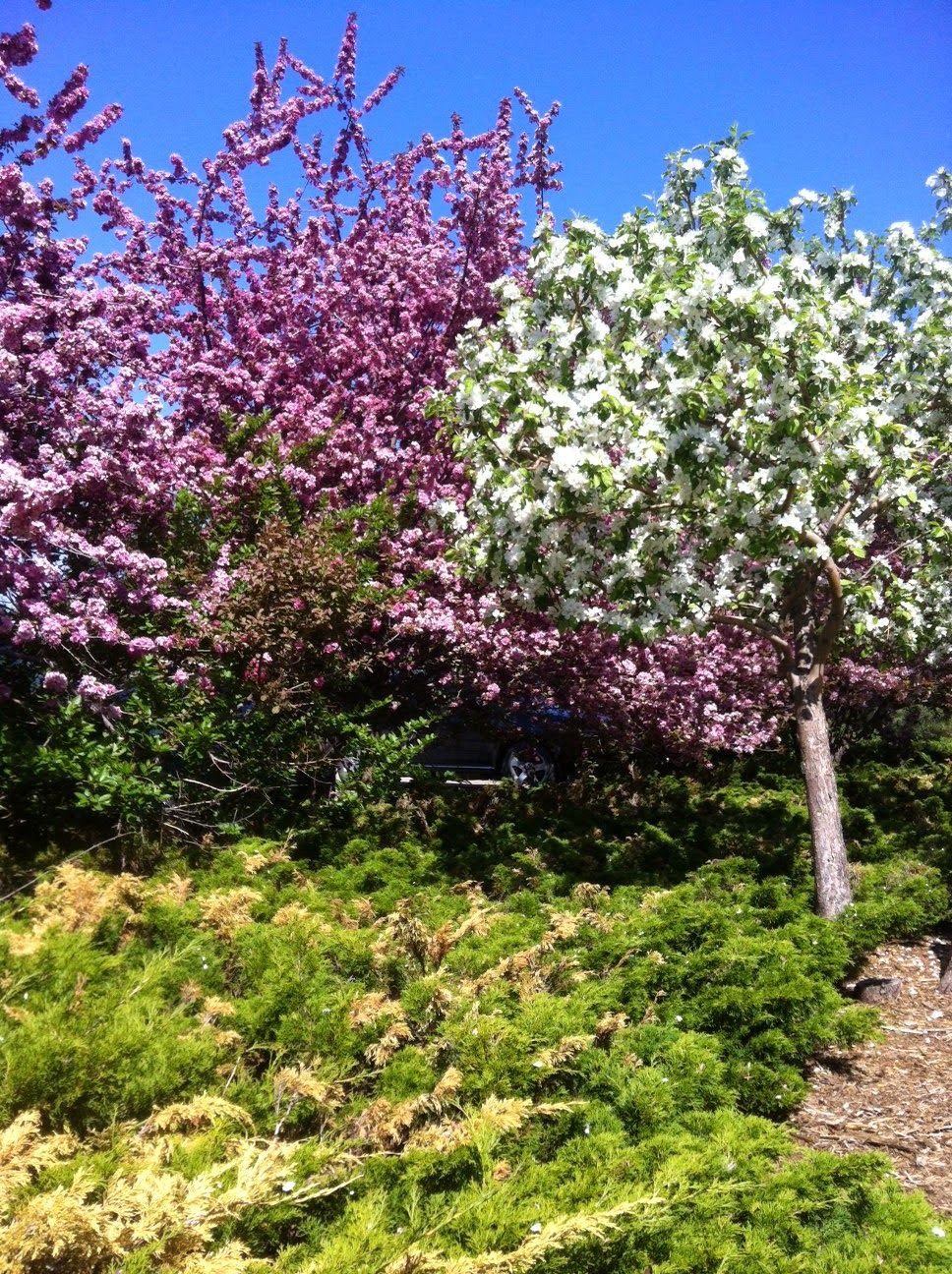 Jason Tratch: Tools - Walking Meetings