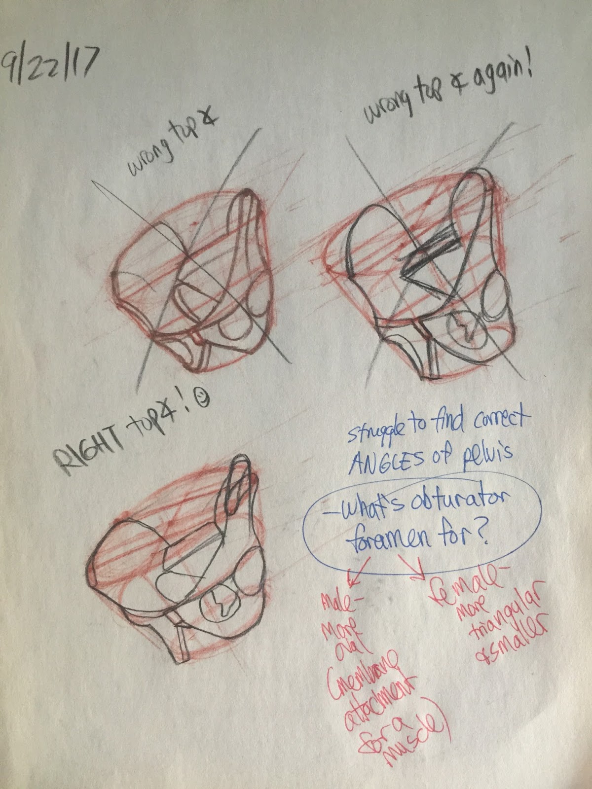 Kreated by Krause: Why "Draw Everything" Isn't a Good Way to Learn to Draw