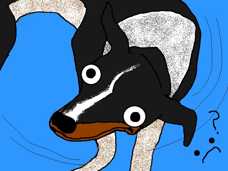 Hyperbole and a Half: Wild Animal (The Simple Dog Goes for a Joy Ride)