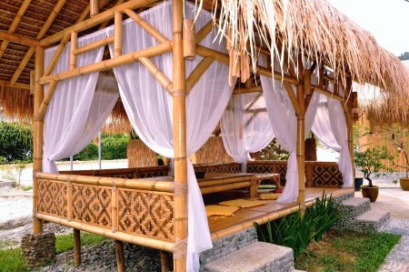 Perkara Menarik Yang Anda Perlu Tahu Mengenai Buluh |MyRokan