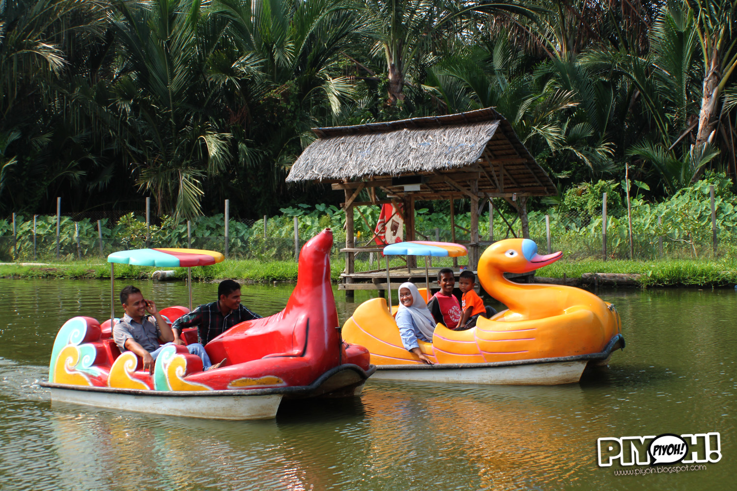 @Hijrahheiji: Taman Rusa, Taman Rekreasi Baru di Aceh Besar