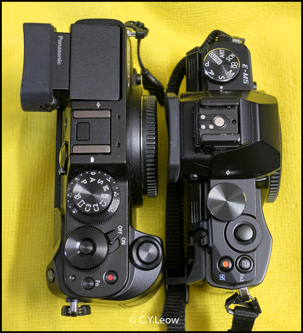 Man Behind Lens: Lumix DMC-GX8 - Prima Facie