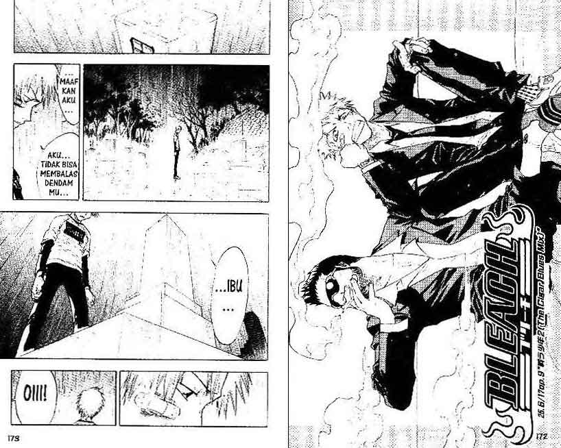 Bleach Chapter 017 - Part 9 - Bennu Log