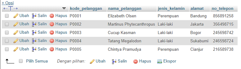 CARA MENAMPILKAN DATA DARI DATABASE MYSQL PADA VISUAL STUDIO 2010 ...