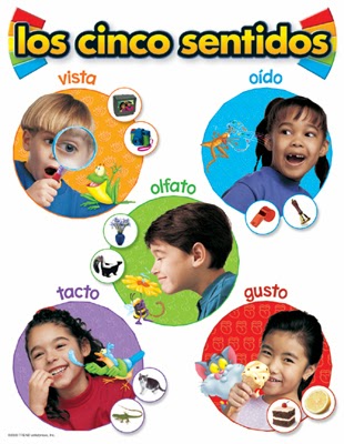 CEIP Uno de Mayo Primer Ciclo: Con este juego, los sentidos conocerás.