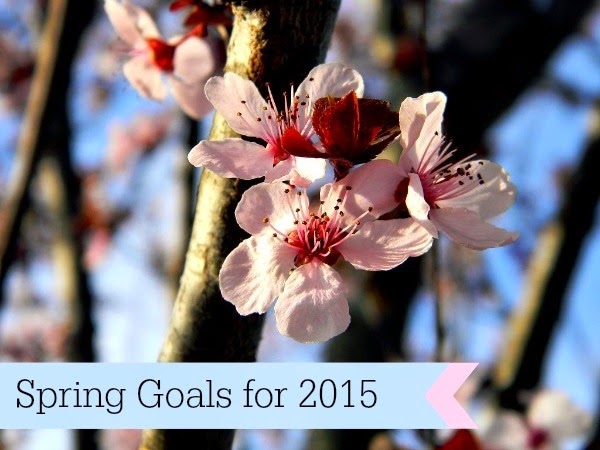 Spring Goals ~ The Striped Flamingo