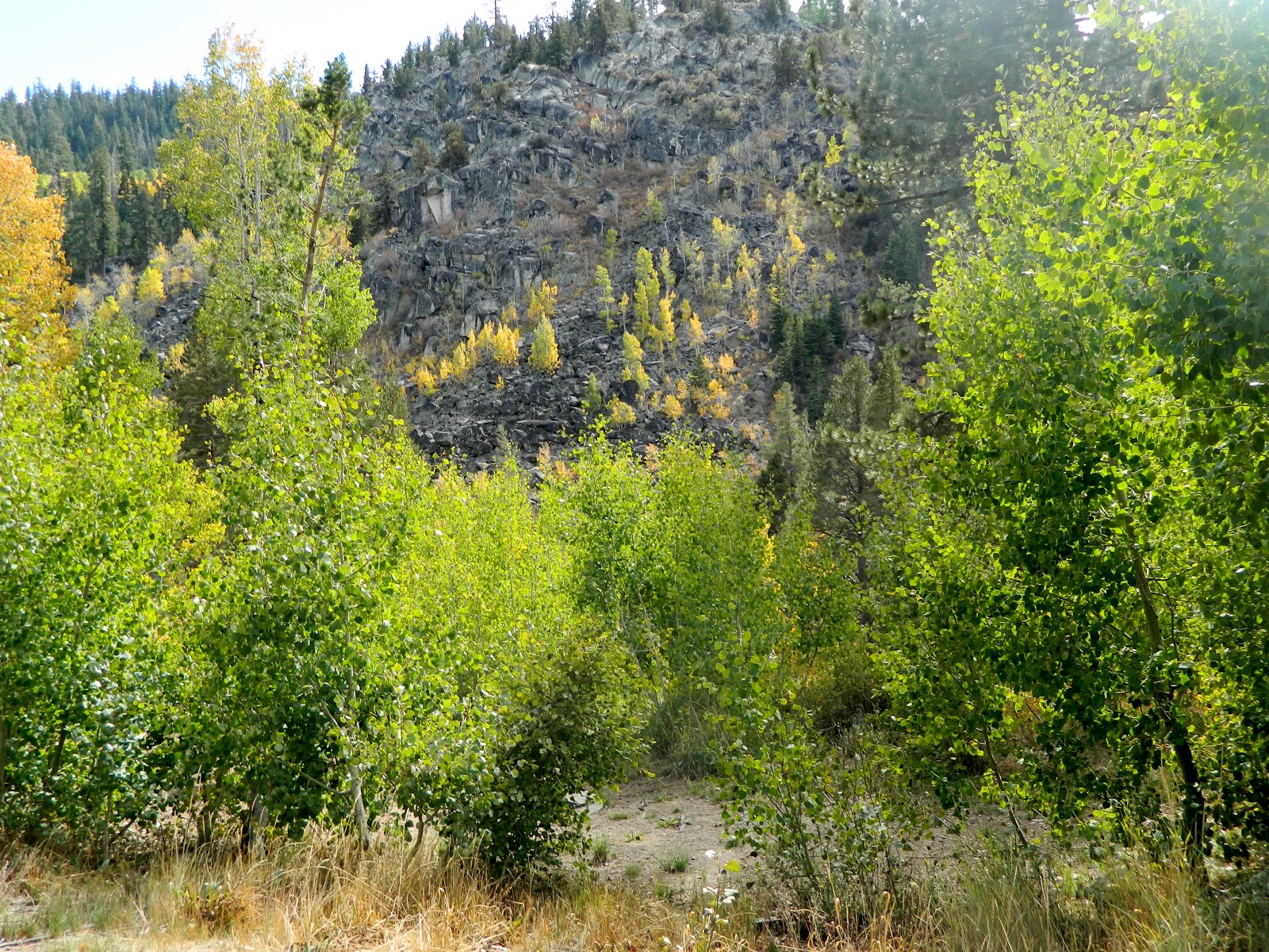 Sierra Nevada Camping: Kit Carson Campground (Reservations Accepted)