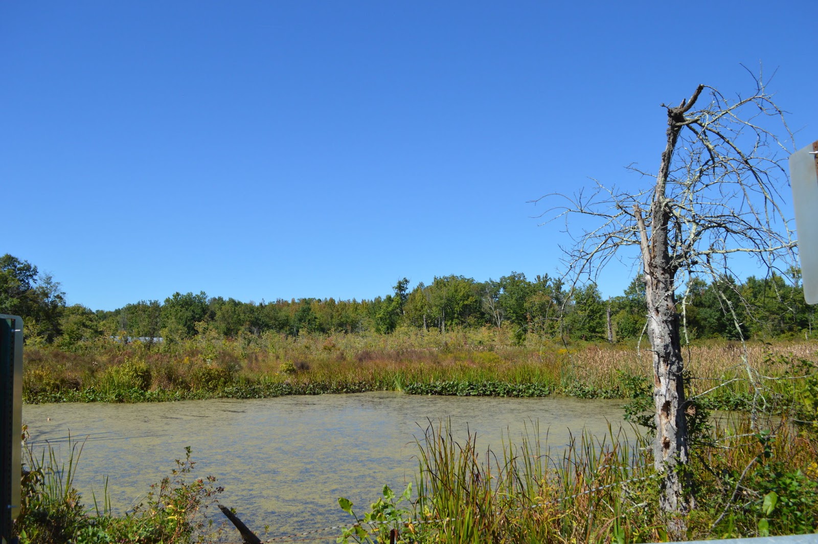 GardenStatePics.com: New Jersey and You - Perfect Together, Liberty and ...