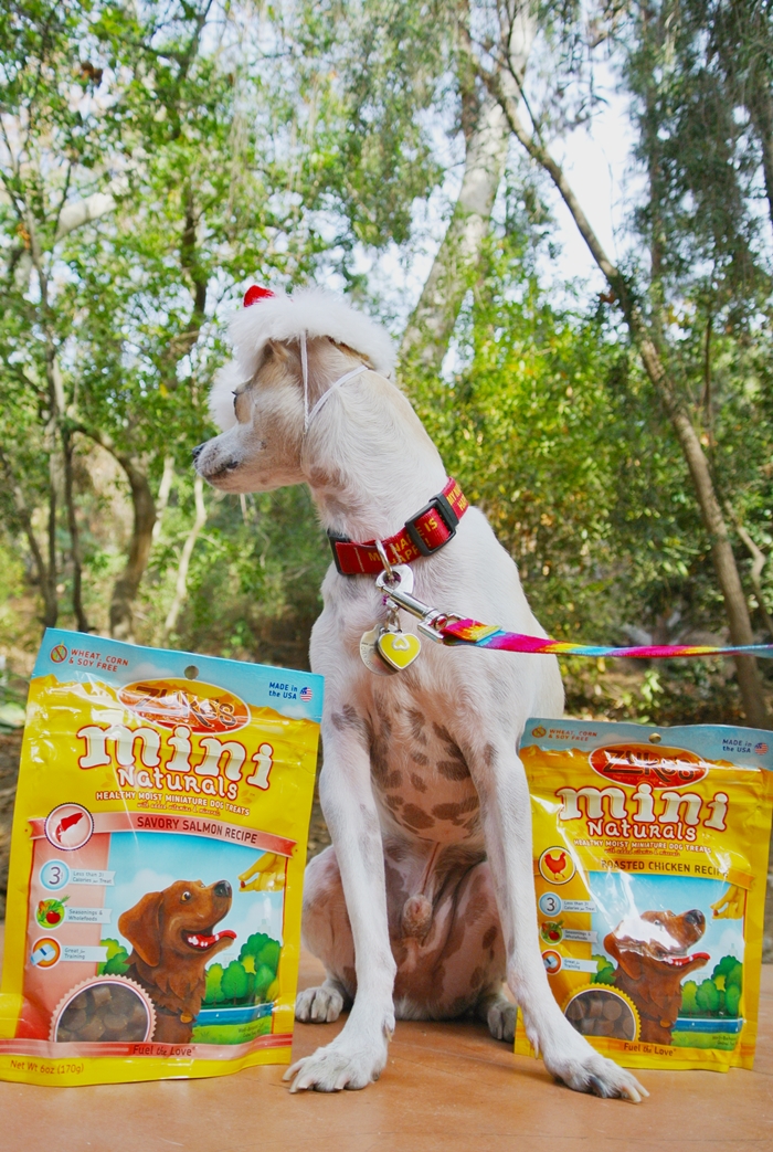 HAPPYHAZEL: Santa Happy Goes Holiday Shopping to HotDogCollars! - Happy ...