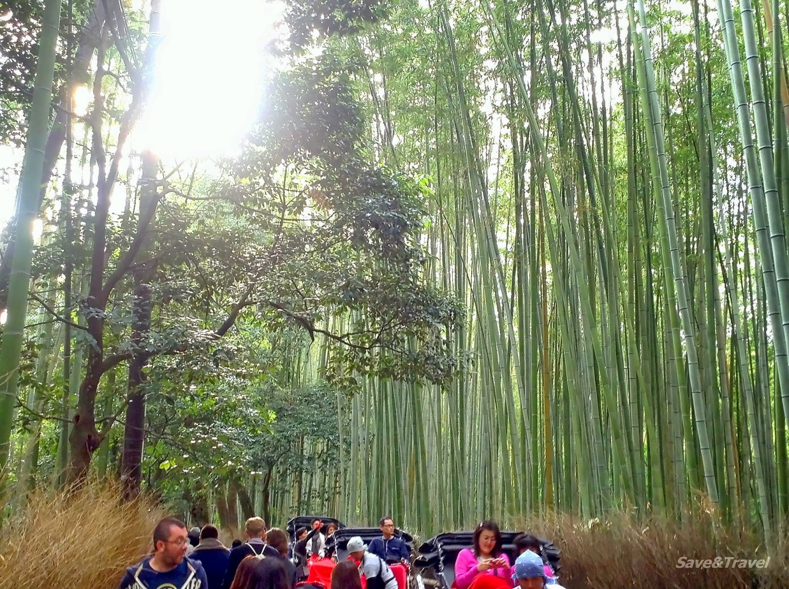 Save & Travel: Japan Golden Week - Kyoto 2/2