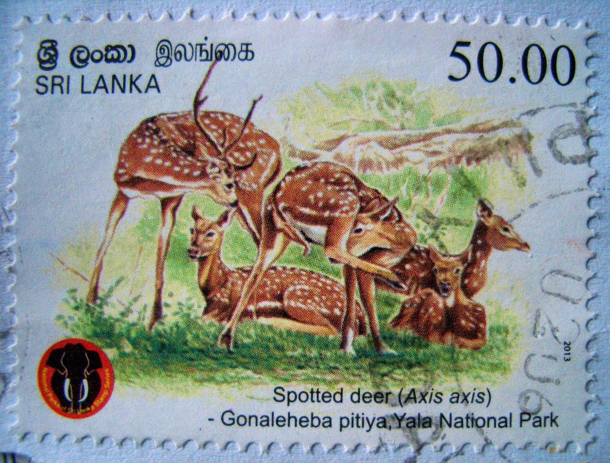 ISLAND STAMPS: SRI LANKA