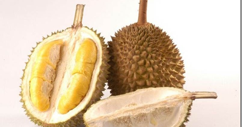 Under The Angsana Tree: Malaysia Best 10 Durians‏