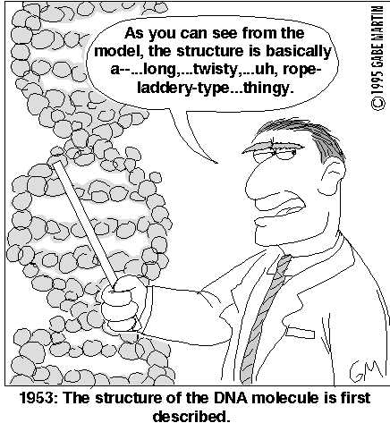 World of Biochemistry (blog about biochemistry): Cartoon about DNA