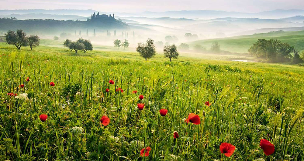 5 razones para visitar la Toscana en primavera