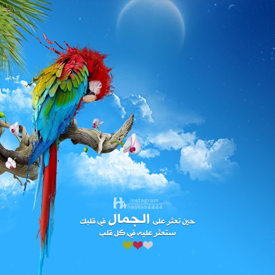 daralbalagh: استراتيجية التغيير الفعال (7) | لا نتائج بدون عمل | د صلاح ...