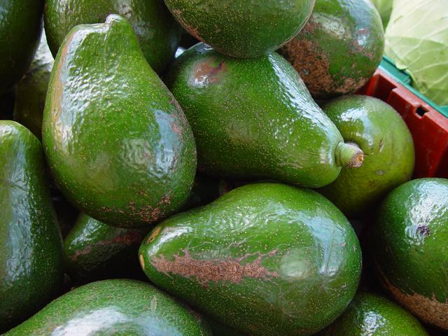 Le Saviez-Vous ?: L'origine du mot avocat (fruit)