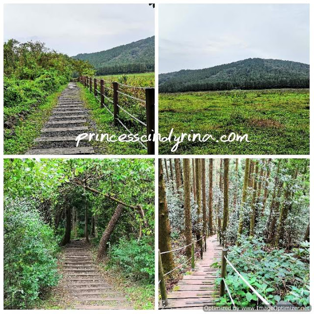 Travelogue : 5th Day , Jeju-do