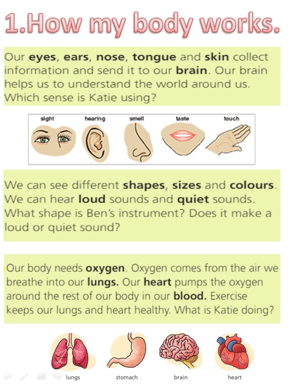 Cool English For Second Graders Natural Science cool-english-for-second-graders-natural-science