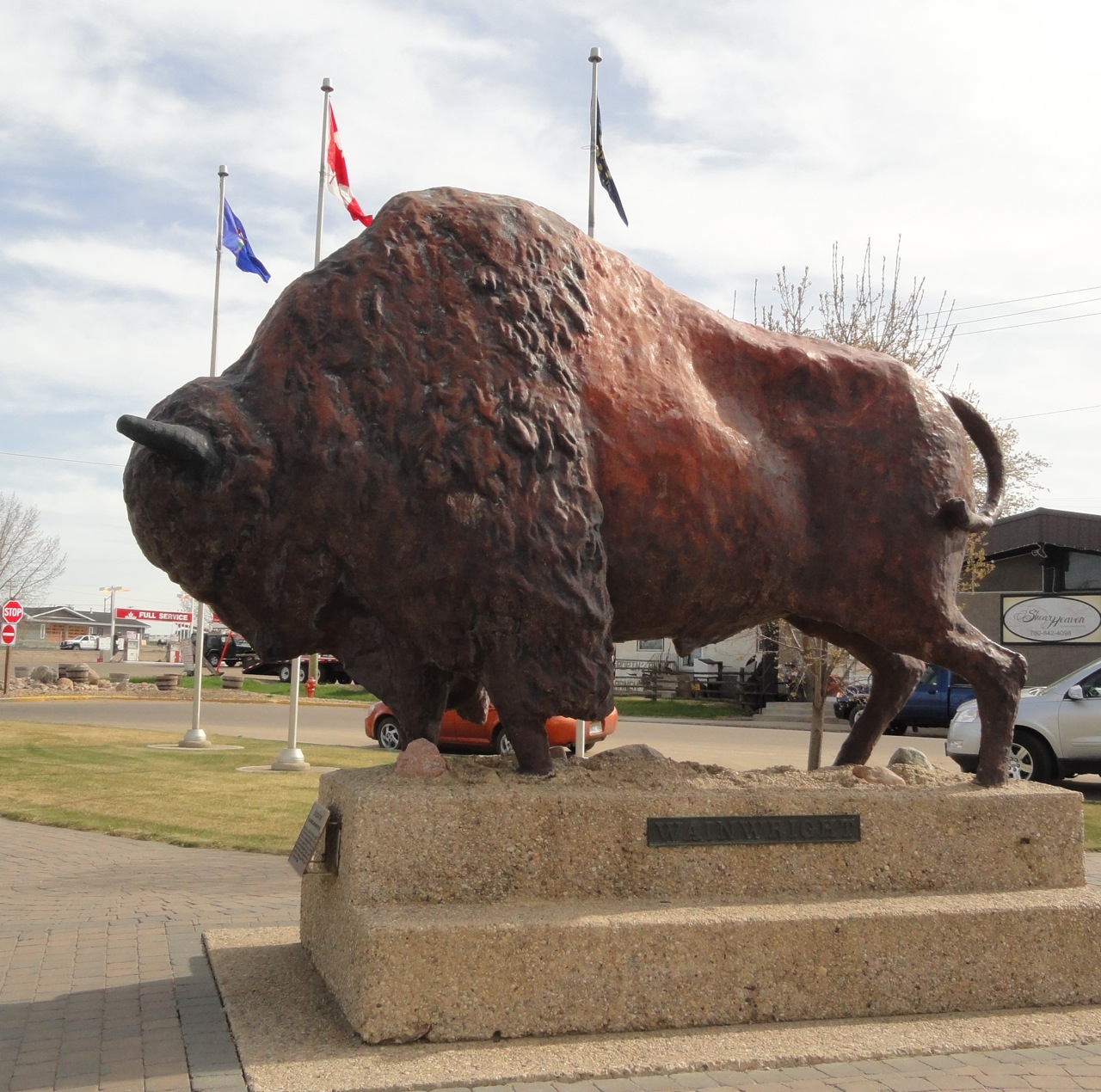 To Serve With Love: Wainwright