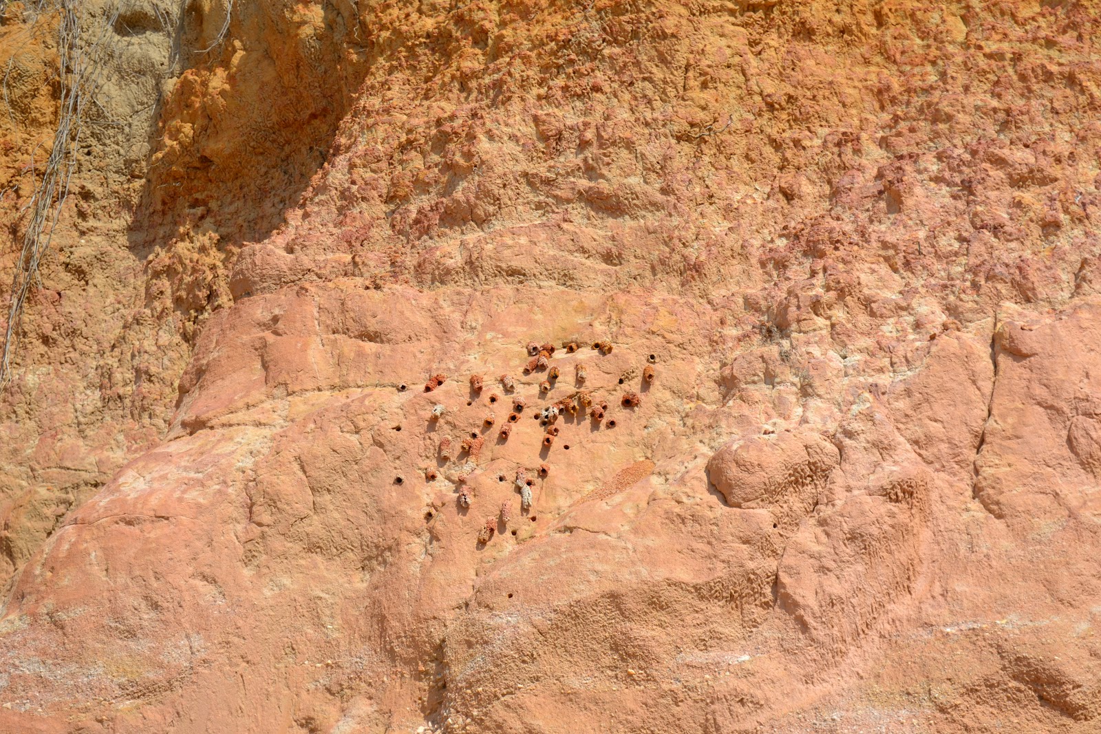 Relatively Realistic: Georgia Red Clay