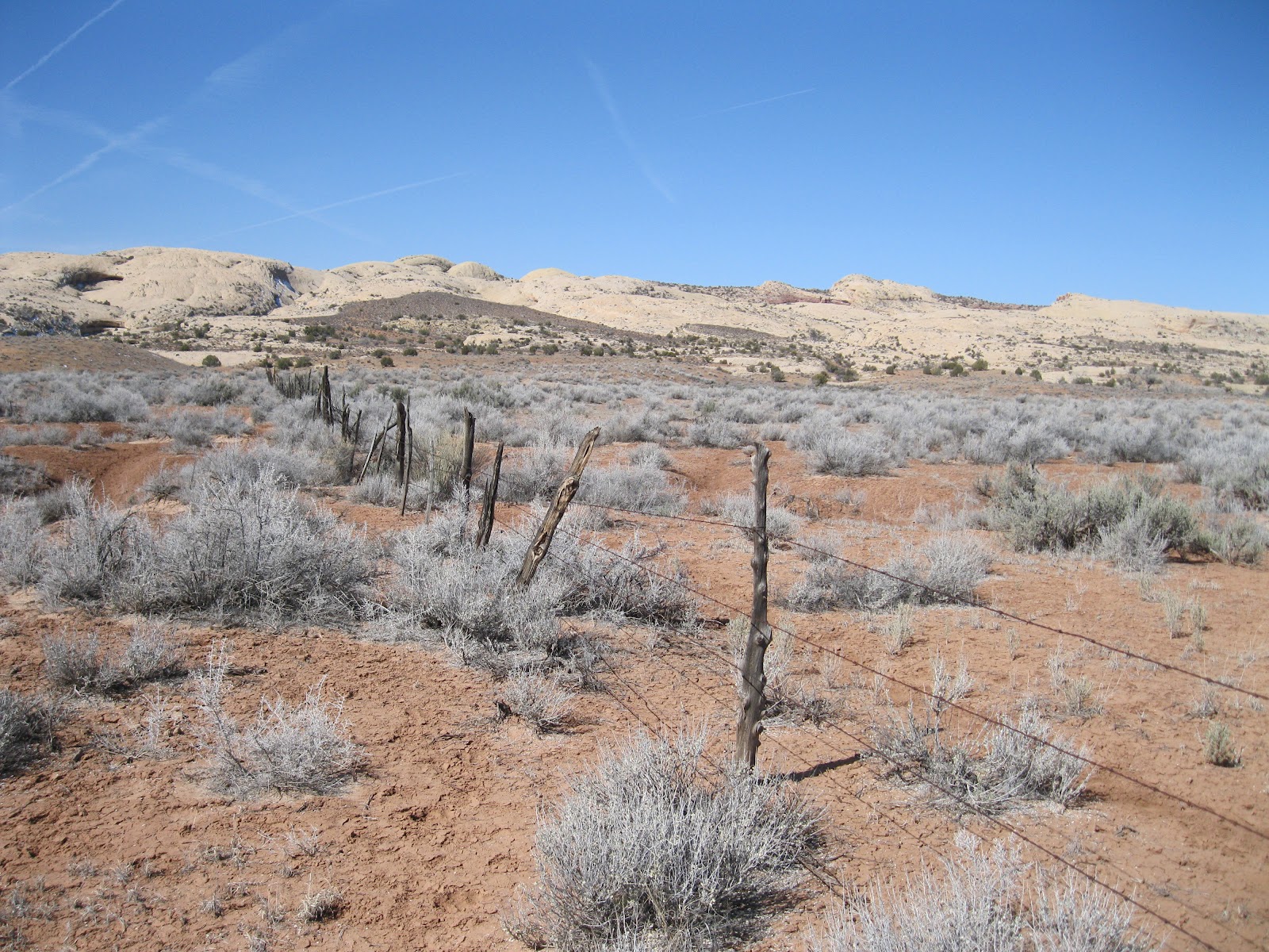 Four Corners Hikes-Cedar Mesa in Utah: Comb Ridge North of Cold Spring Cave