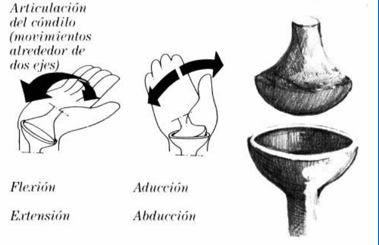 Articulaciones: junio 2012