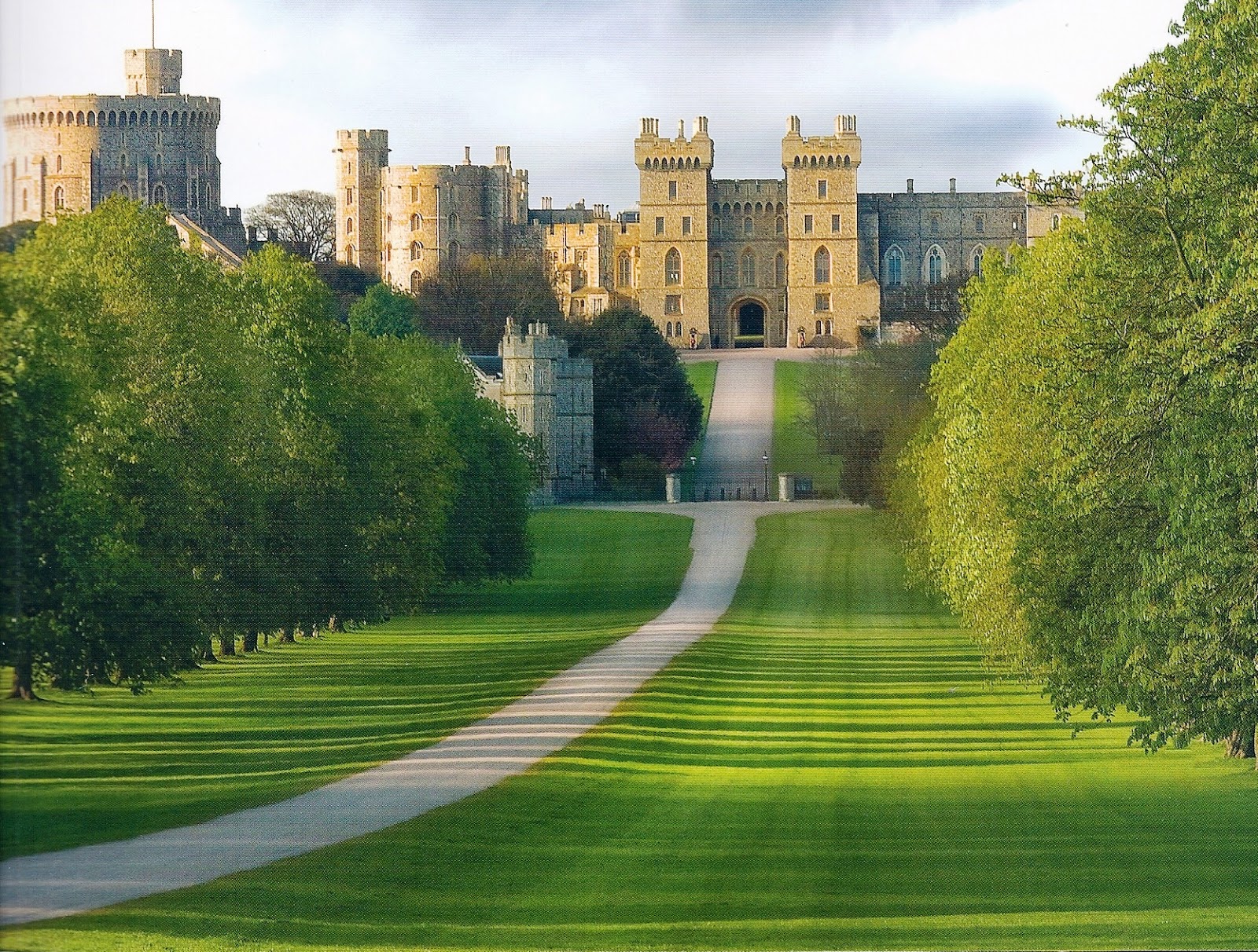 The World According to Barbara: WOWED BY WINDSOR