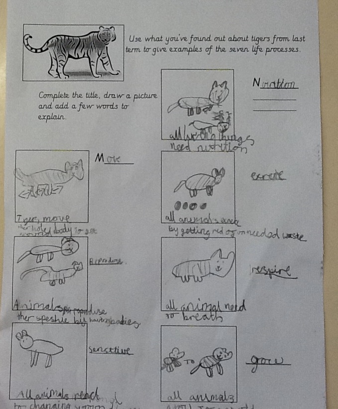 Warning Class 3B at Work!: Mrs Nerg by Jade