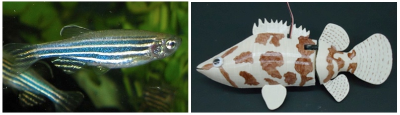Inkfish: Fish Fear Robotic Predators, Unless They're Drunk