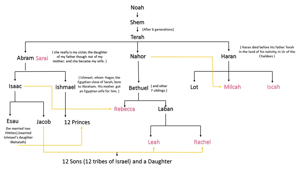 Samuel and Eunice Bible Study Topics: Noah to 12 Tribes