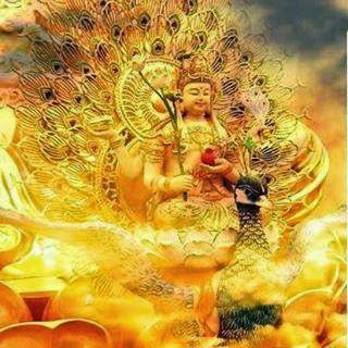 Agnostic仰庇神恩: Mahamayuri mantra 南無佛母大金孔雀明王心咒 23/3/2014