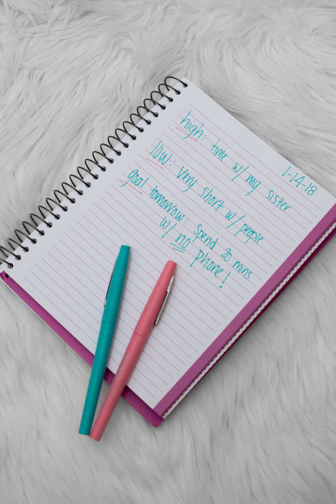 N I C H O L L E S O P H I A: Daily Journal: 3 Easy Steps